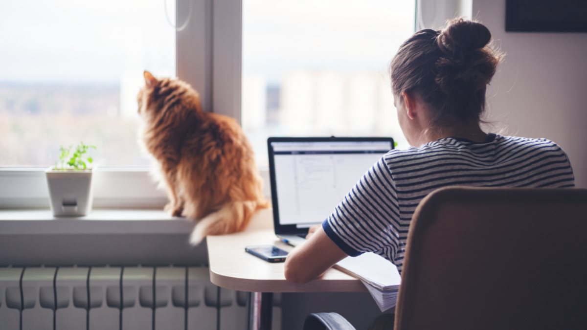 Дайджест удалённых вакансий - Python, Lead, Gameplay, UE4, Unity - Rubrain Blog