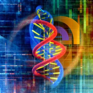 Задание с тестовым кодом и пошаговым решением для разработчика на Python - Rubrain Blog